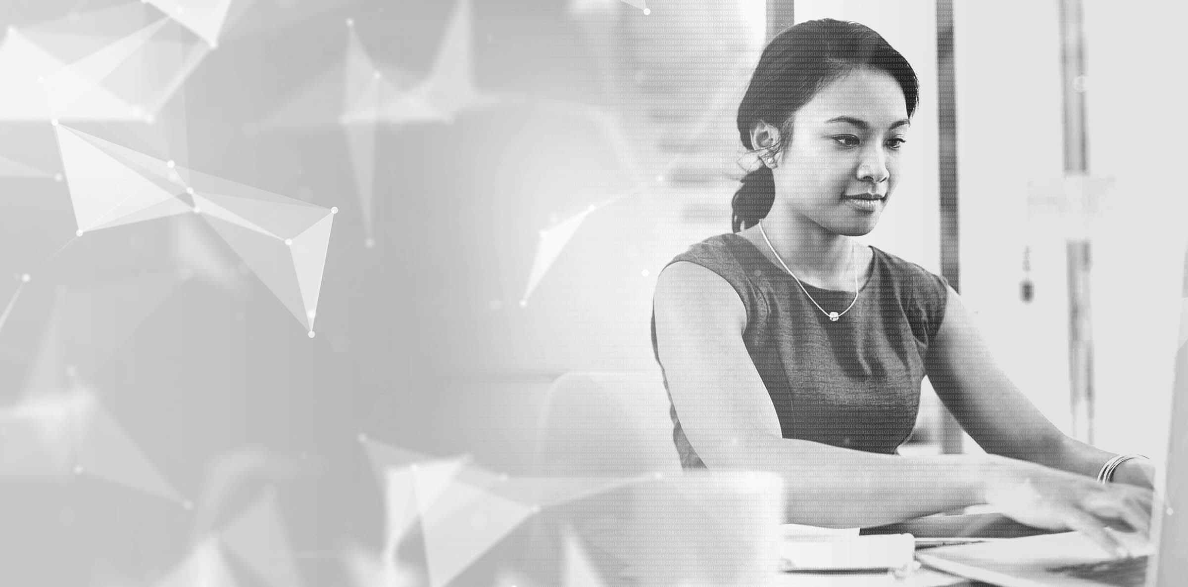 Bridger Insight® XG